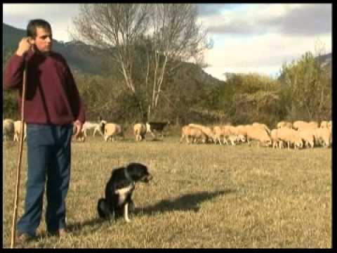 Can De Chira | Documentales Etnográficos