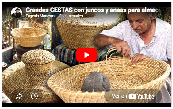 Cestería Artesanal Con Juncos Y Aneas: Balayos Y Taños | Oficios ...